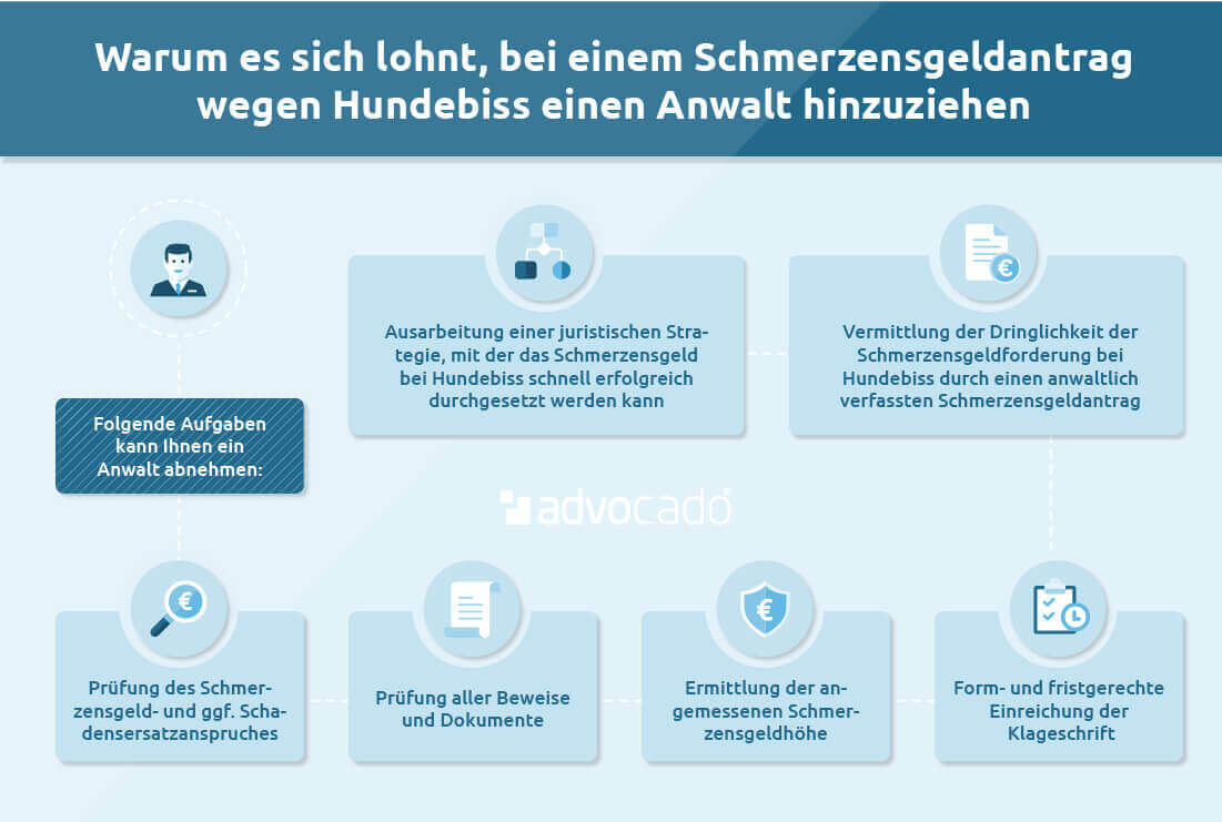 Wieviel Schmerzensgeld Bei Sturz Durch Hund