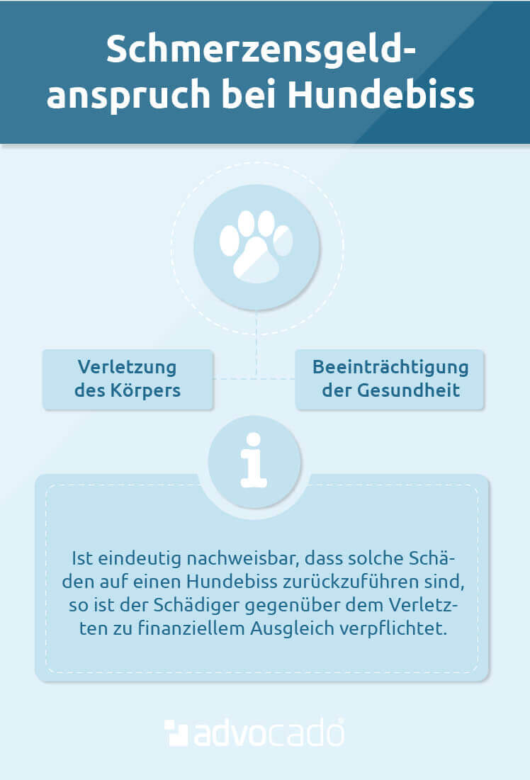 Wieviel Schmerzensgeld Bei Sturz Durch Hund